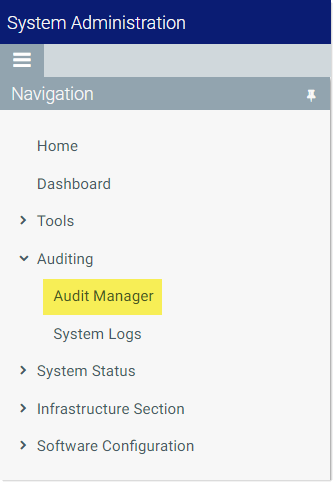 Viewing the audit log